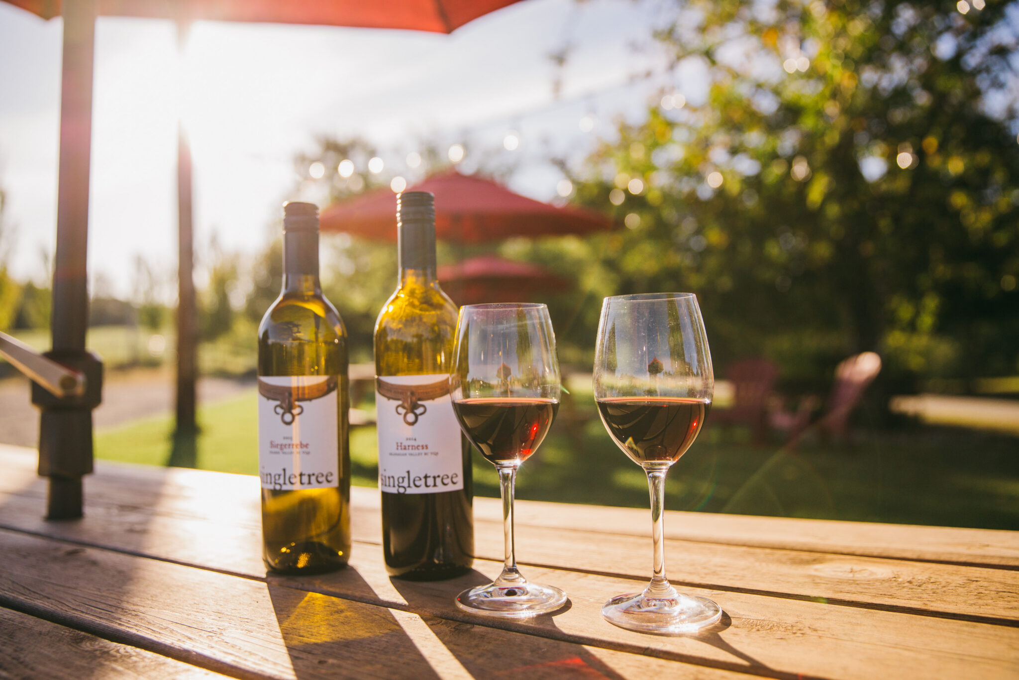Wines | Singletree Winery